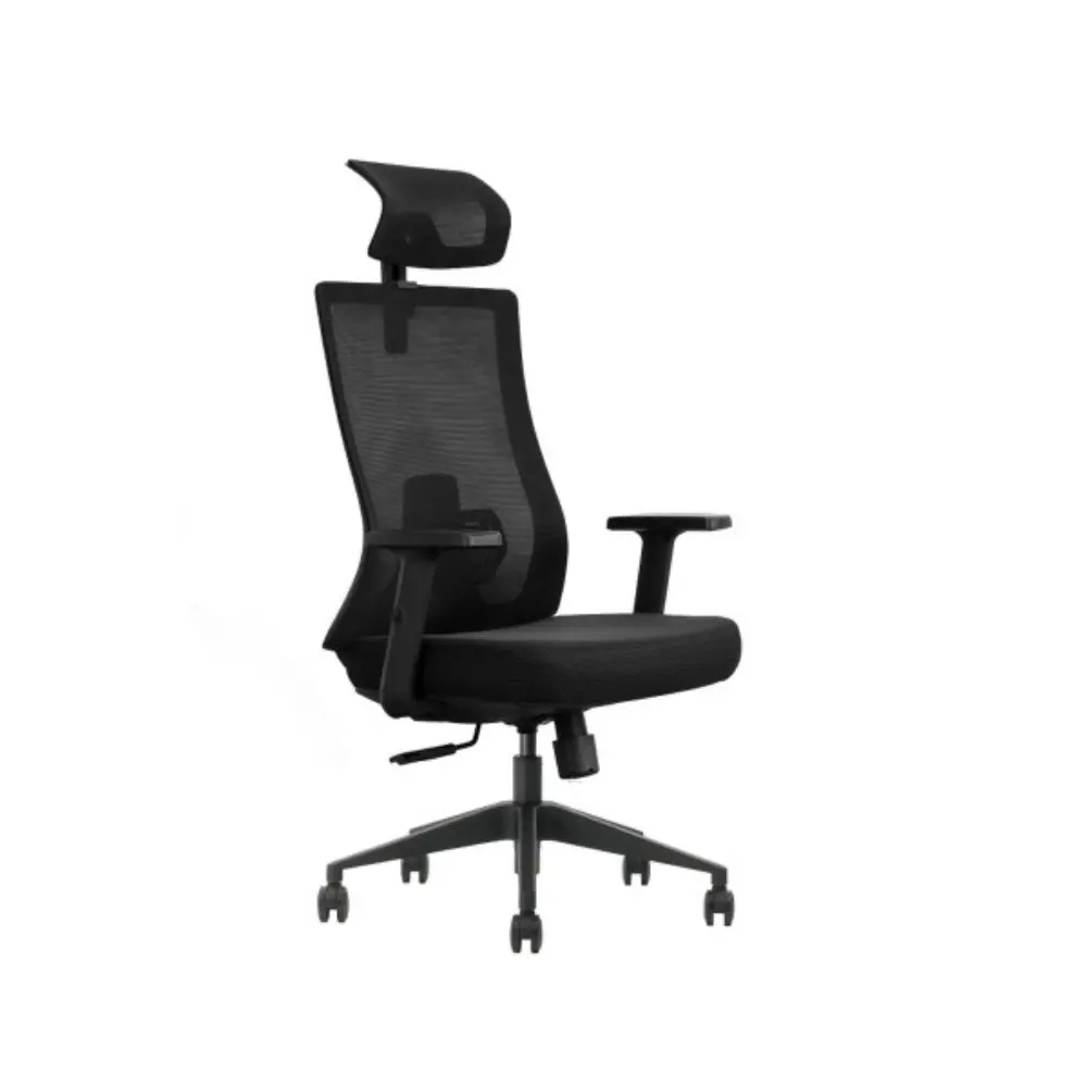 Fauteuil Ergonomique SKILLCHAIRS Ergo Aria Noir Confort Stylé